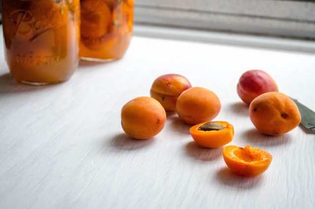 How to make preserved apricots? - Future Generation Co. Ltd.